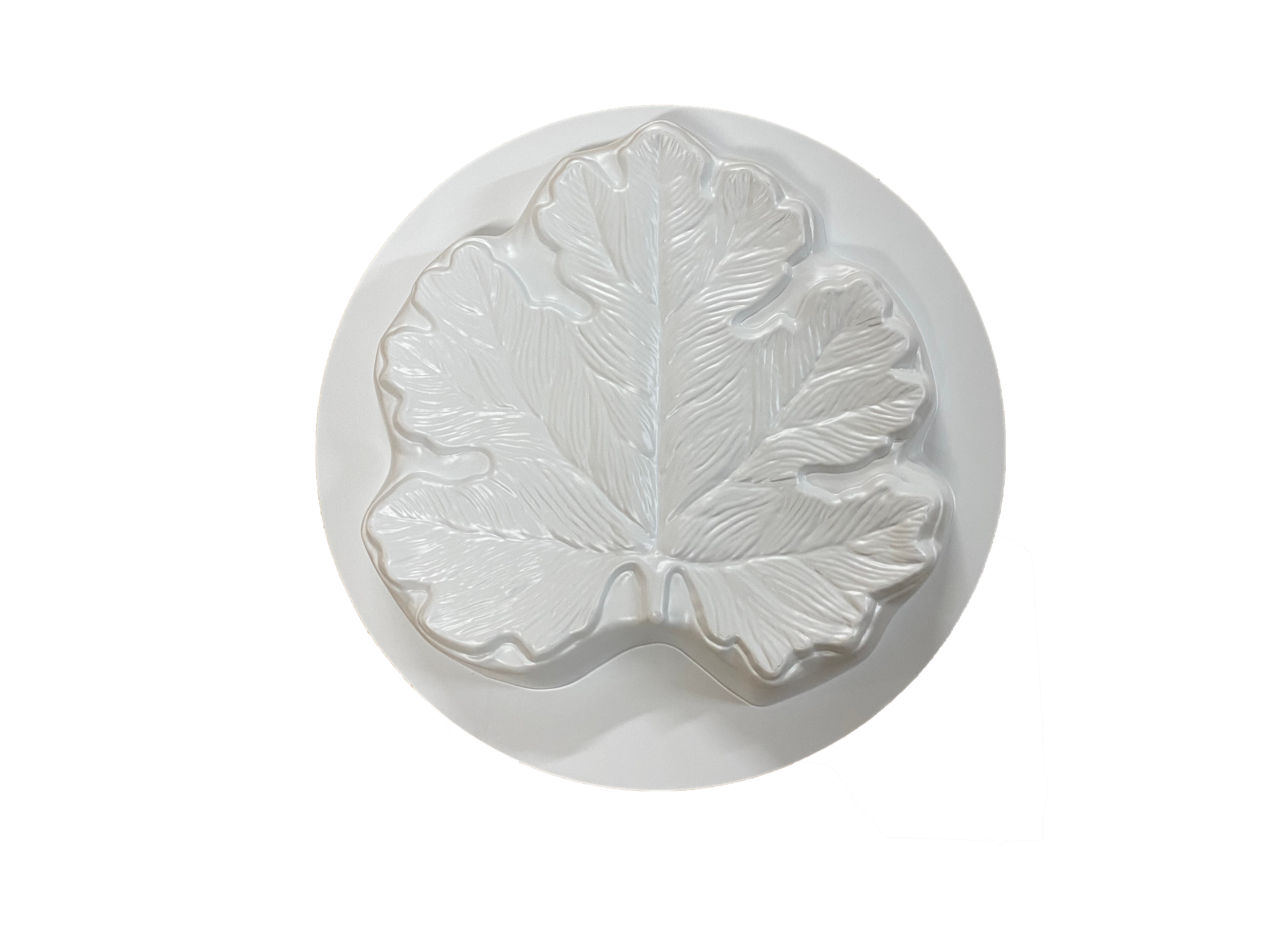 Big Leaf Stepping Stone Mold | Garden Molds